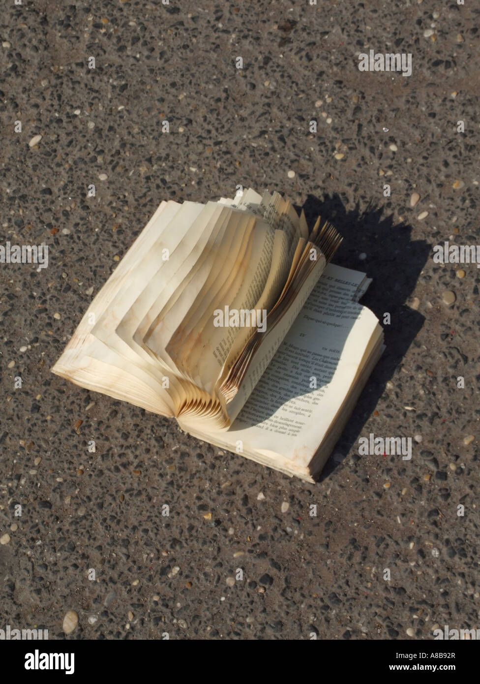 One single lost pages open concept street road floor book hi-res stock ...