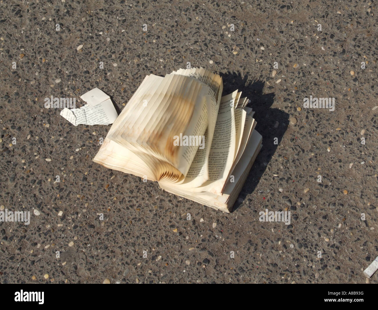 One single lost pages open concept street road floor book hi-res stock ...