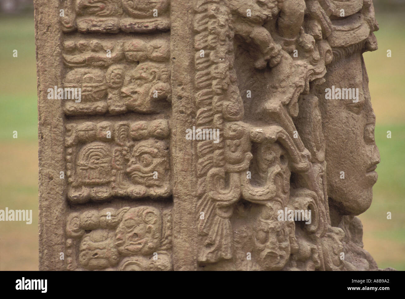 Honduras Copan Stela A Stock Photo - Alamy