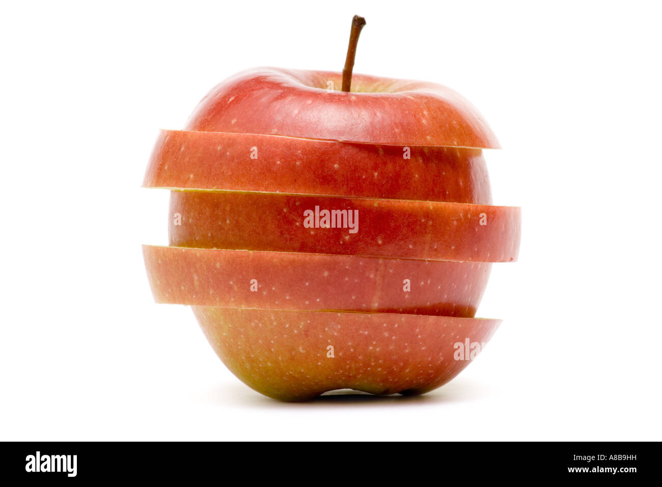 Micro dissection Cut Out Stock Images & Pictures - Alamy