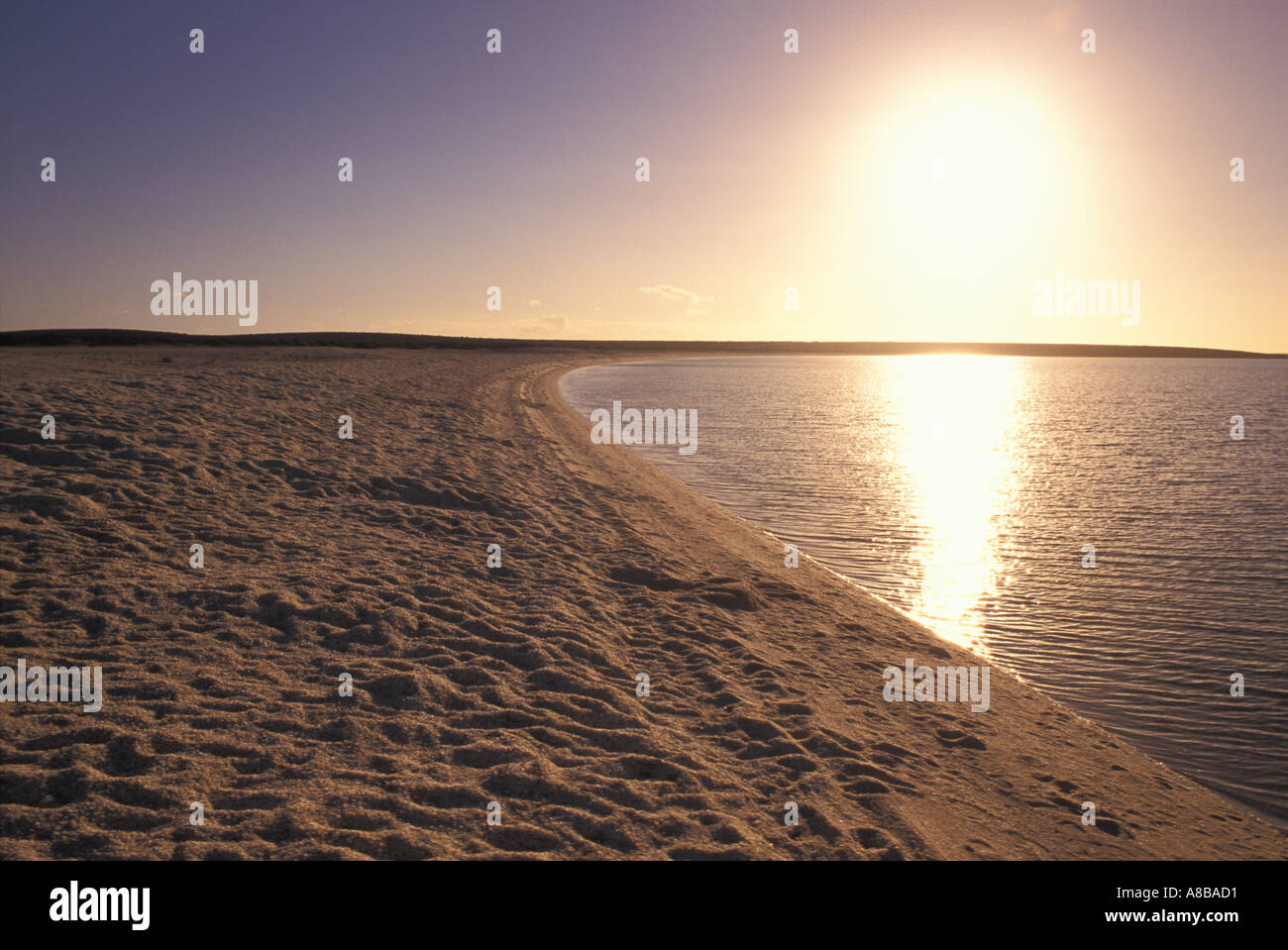Australia Shark Bay Shell Beach Stock Photo - Alamy