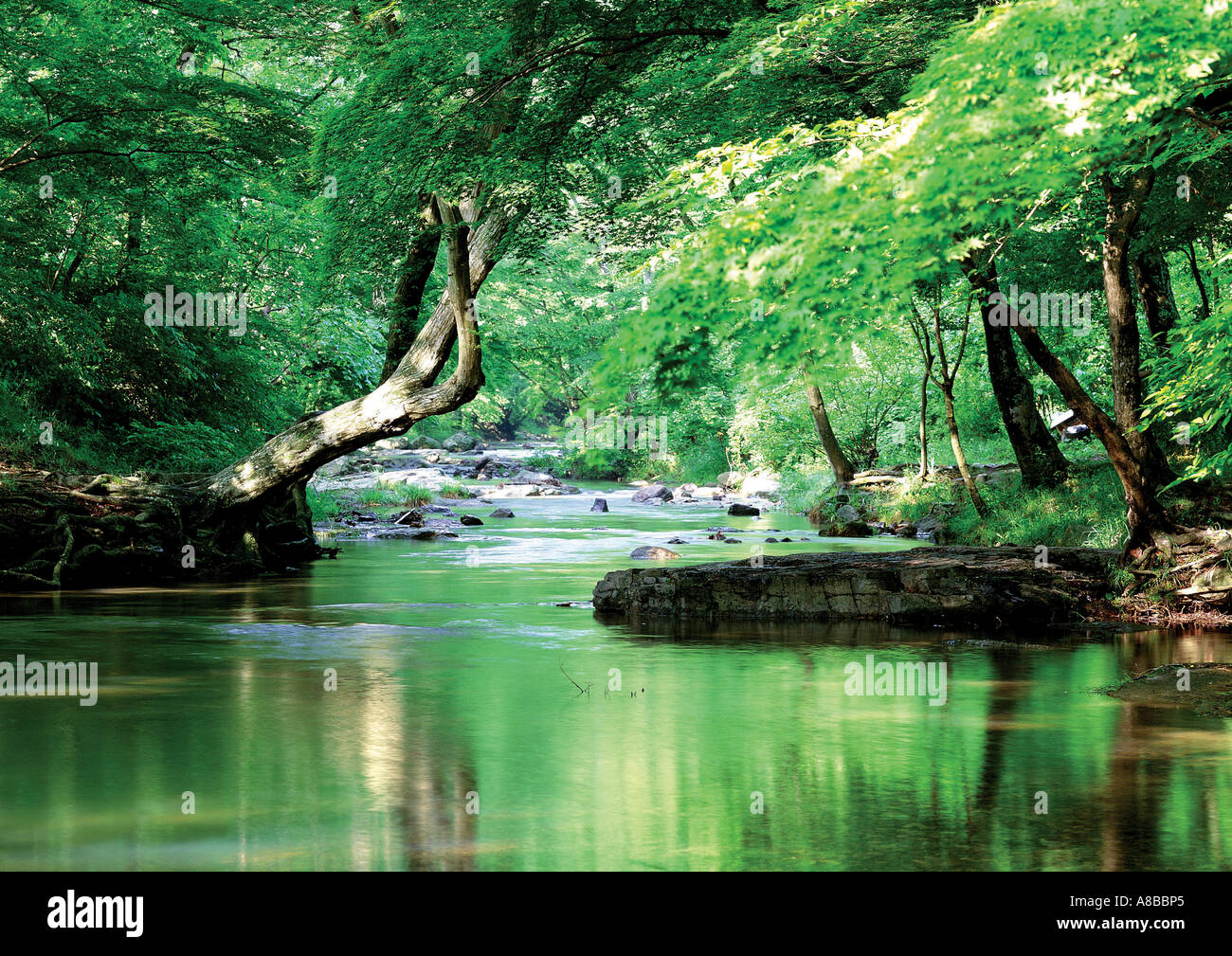 Kangwondo hi-res stock photography and images - Alamy