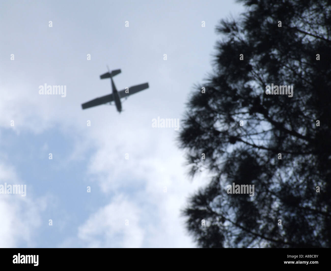 light plane moving across sky through trees Stock Photo - Alamy