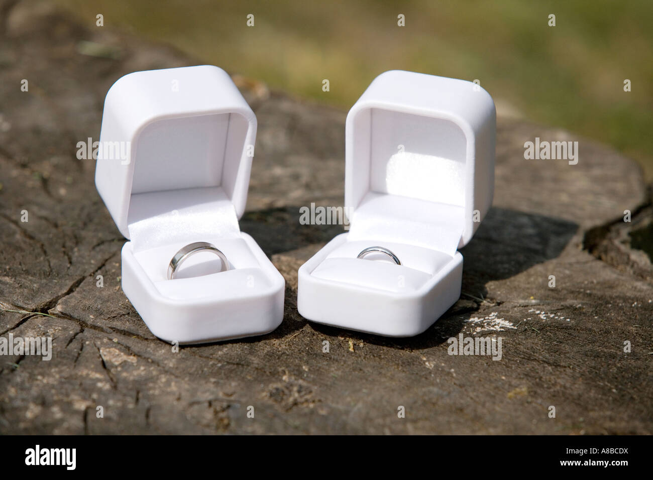 A pair of wedding rings in boxes Stock Photo - Alamy