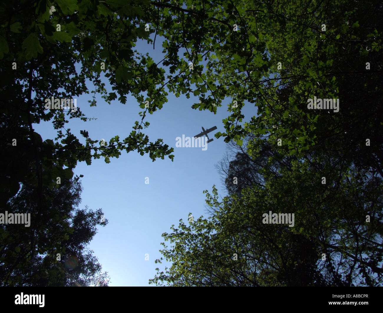 Plane flying through sky thick hi-res stock photography and images - Alamy