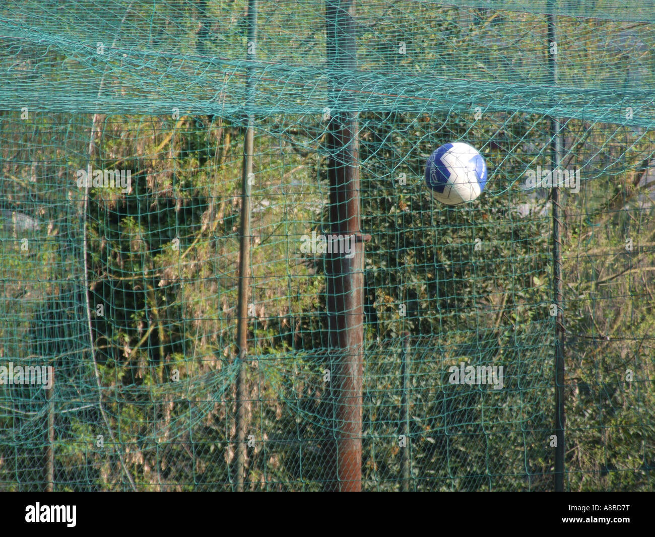 Ball stuck roof hi-res stock photography and images - Alamy