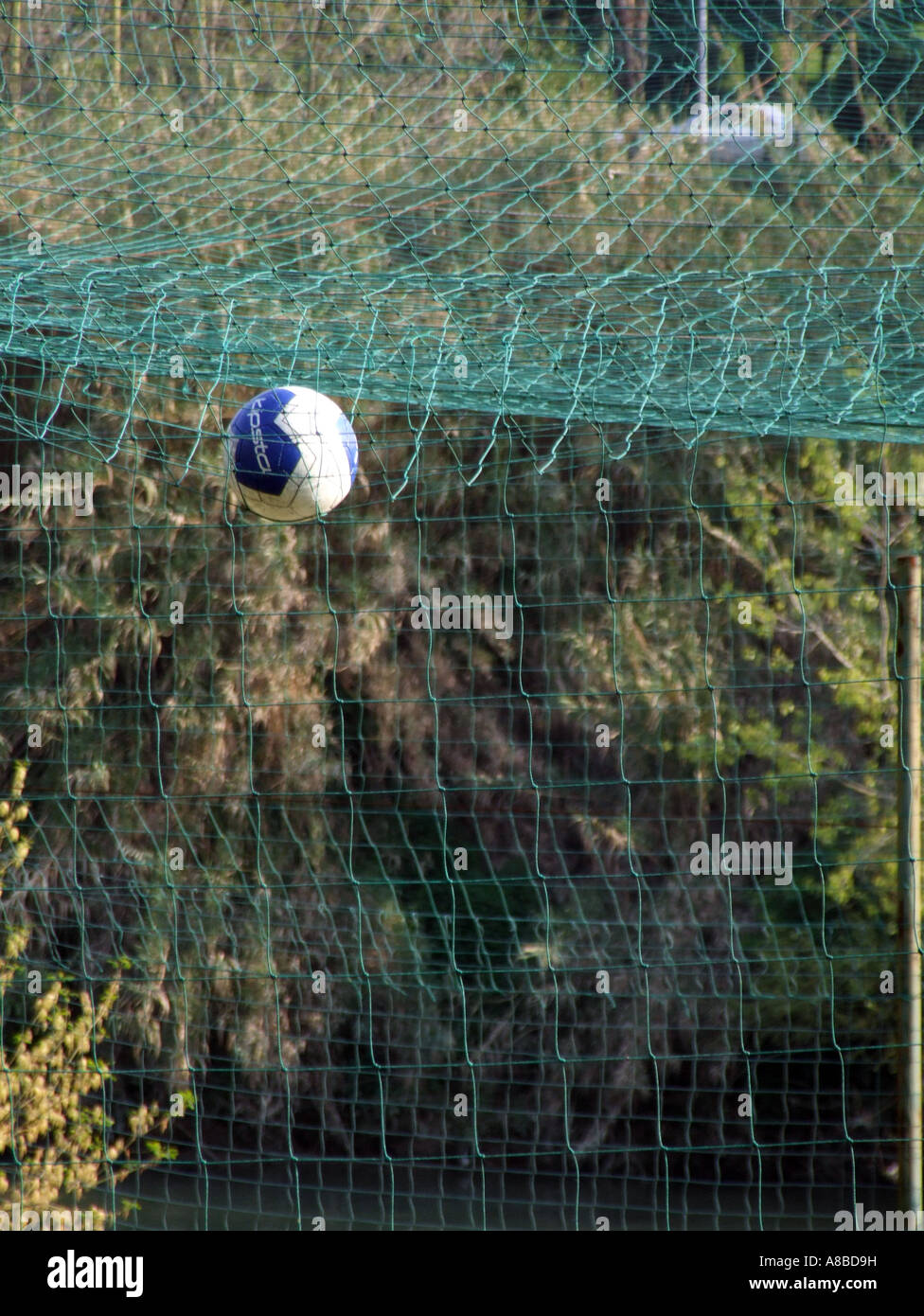 Ball stuck roof hi-res stock photography and images - Alamy