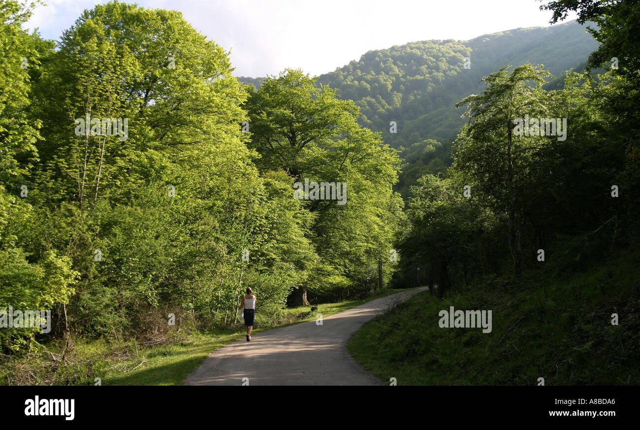 Sistema iberico hi-res stock photography and images - Alamy