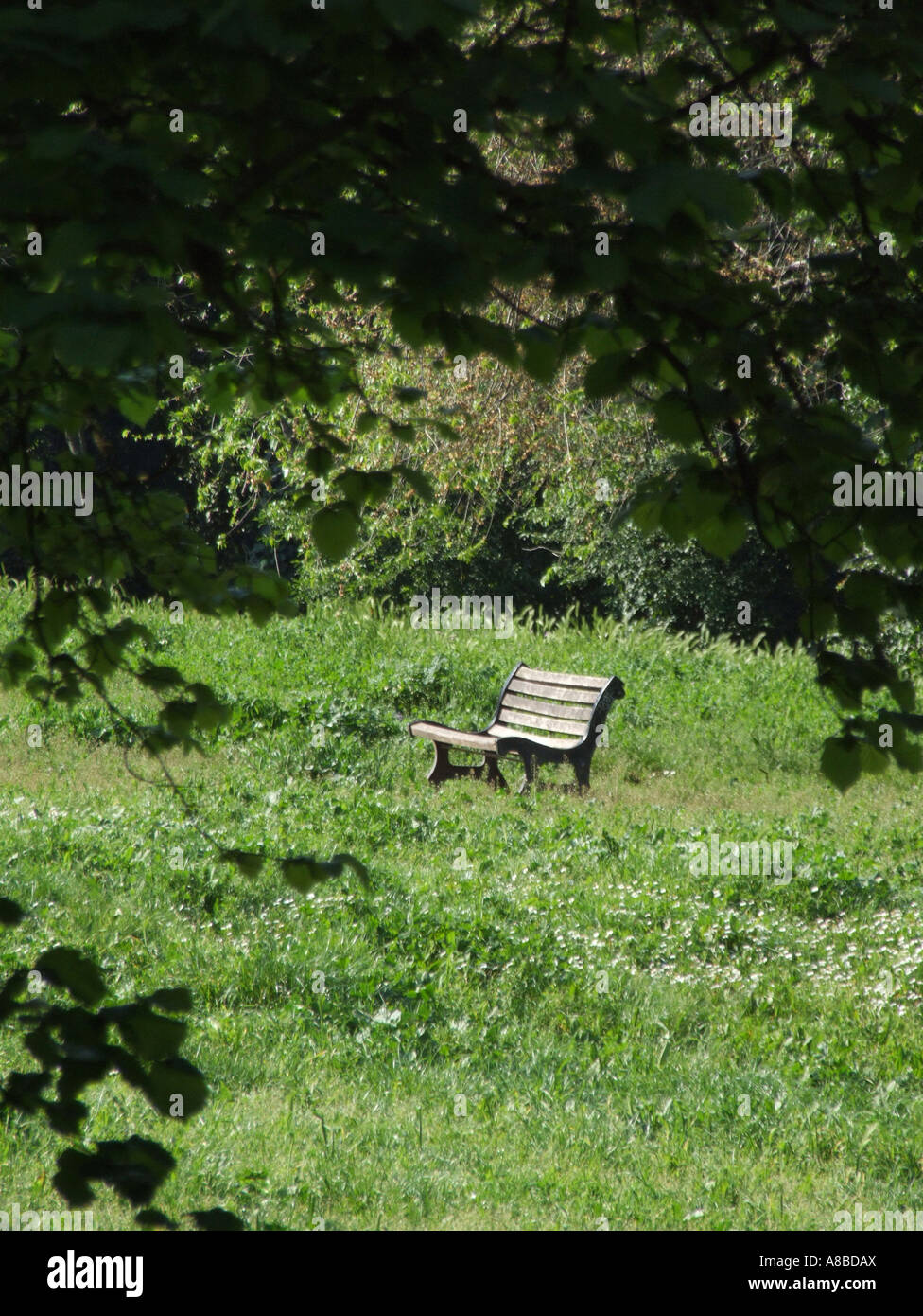 one bench in park Stock Photo - Alamy
