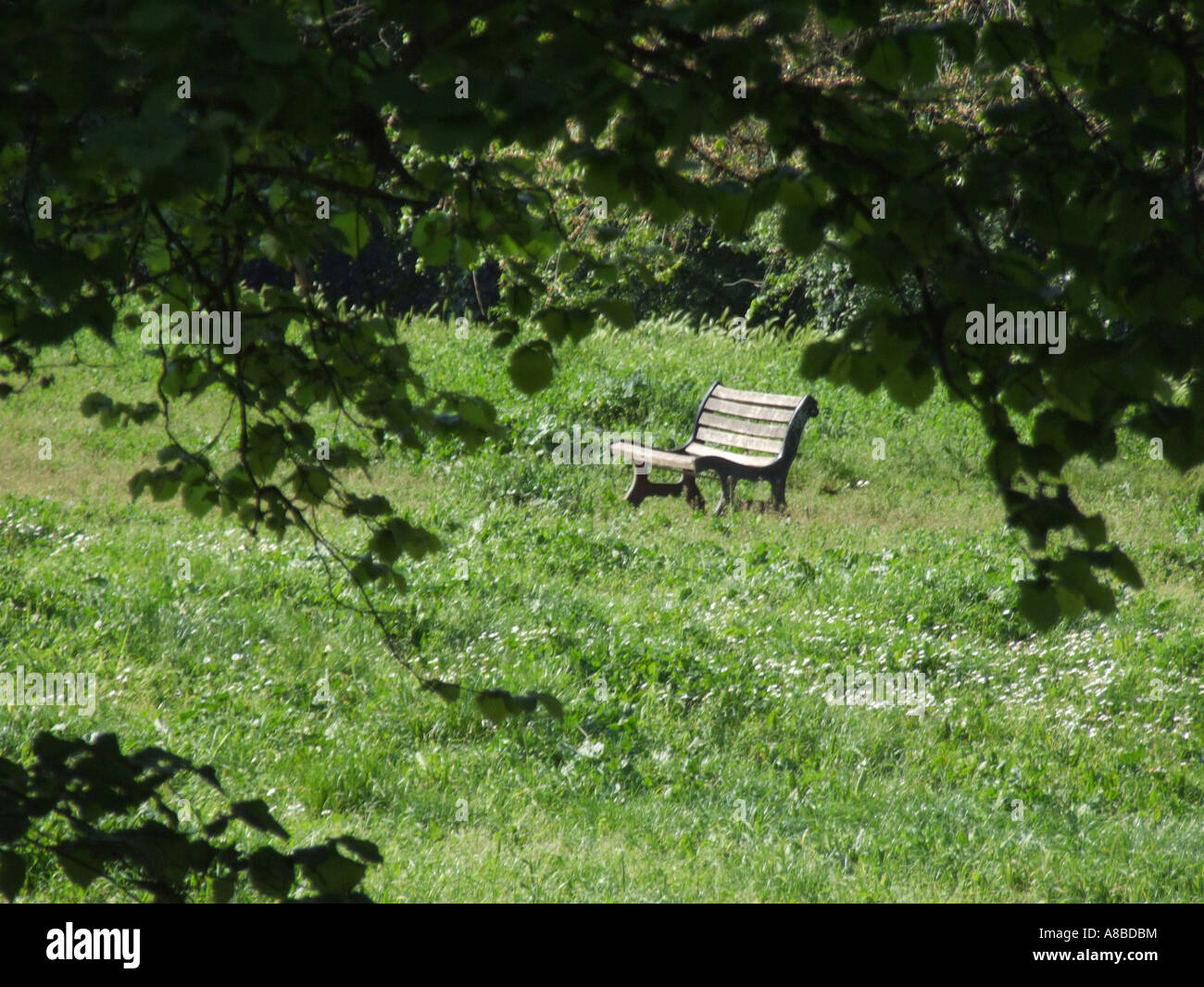 one bench in park Stock Photo - Alamy
