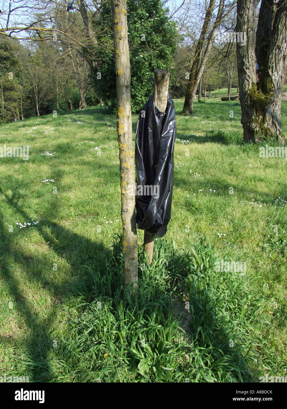 Refuse dirty green concept tree bag hi-res stock photography and images ...