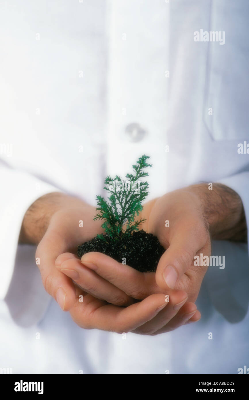 Ecology - Lab researcher and baby tree - concept Stock Photo - Alamy