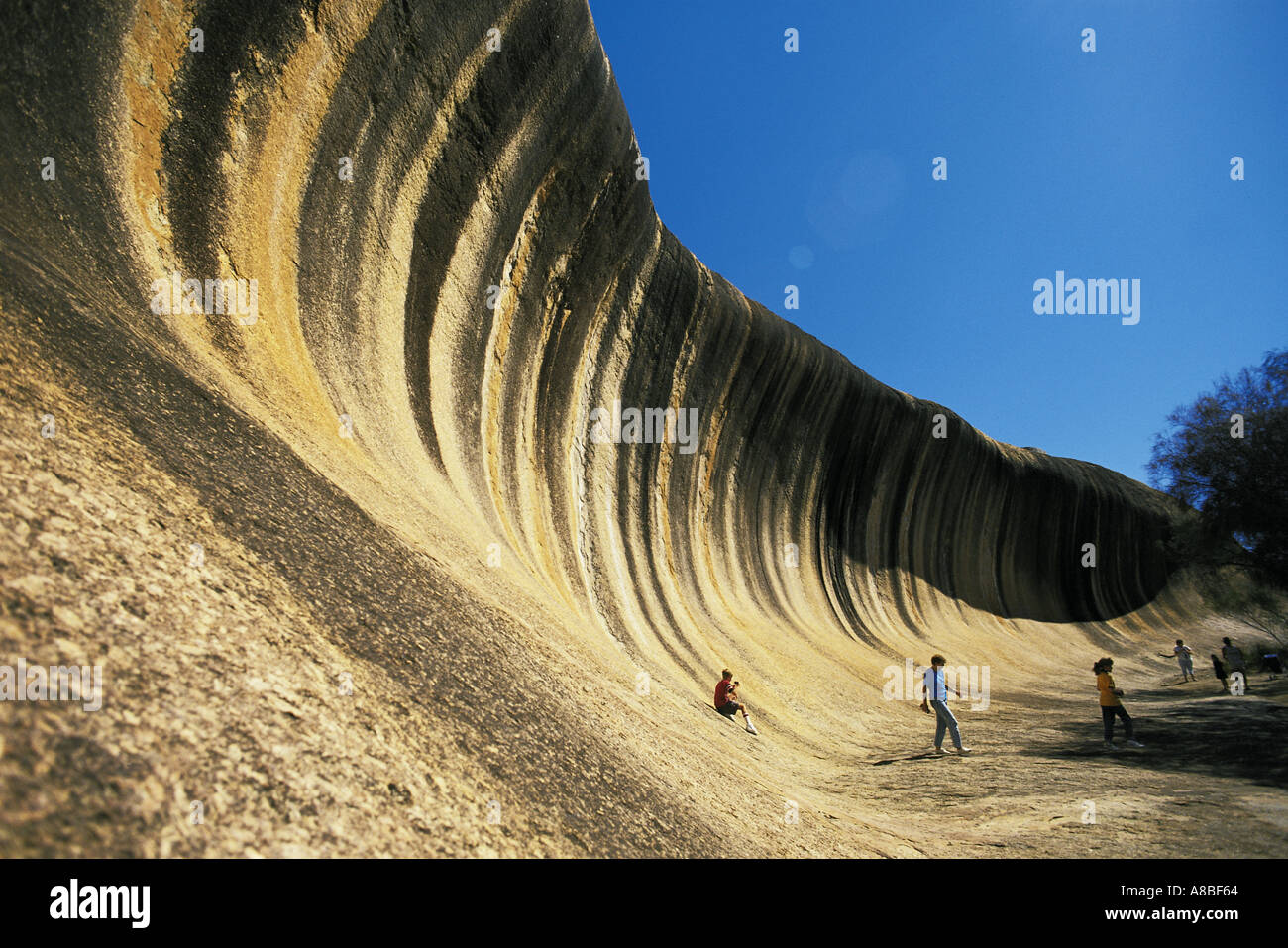 wave rock state of western australia australia Stock Photo - Alamy