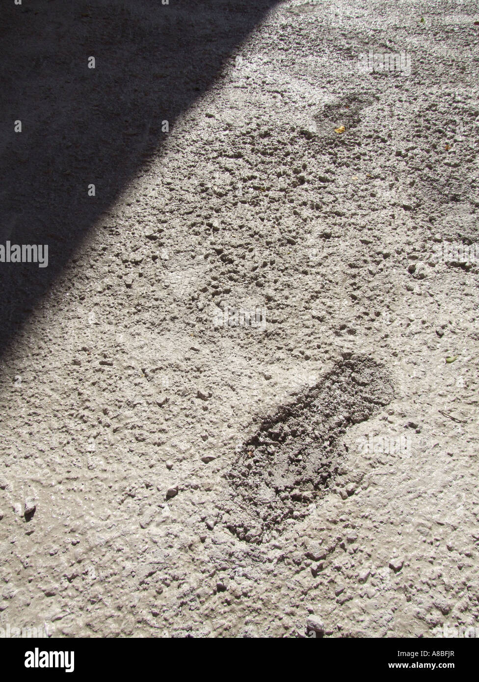 footprints in fresh concrete Stock Photo - Alamy
