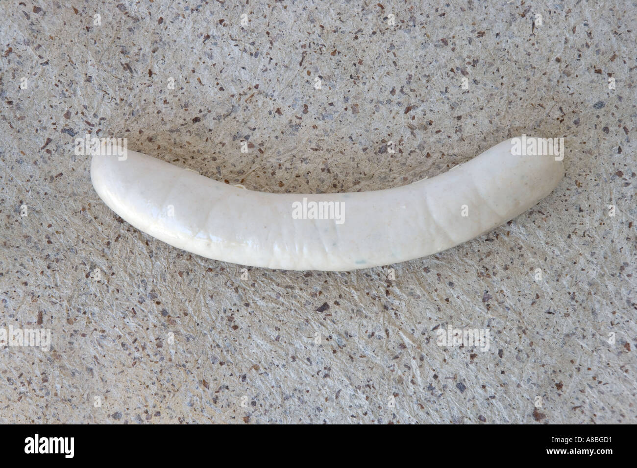 Still life of single Weisswurst on speckeled background Stock Photo - Alamy