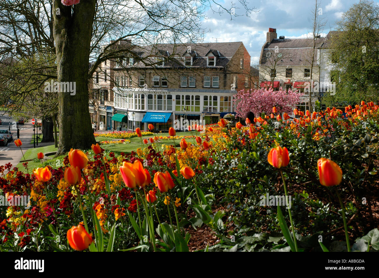 Harrogate in Spring Stock Photo - Alamy