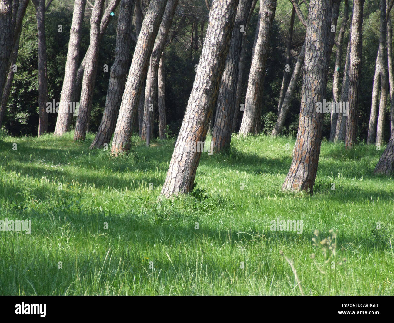 Pendence hi-res stock photography and images - Alamy