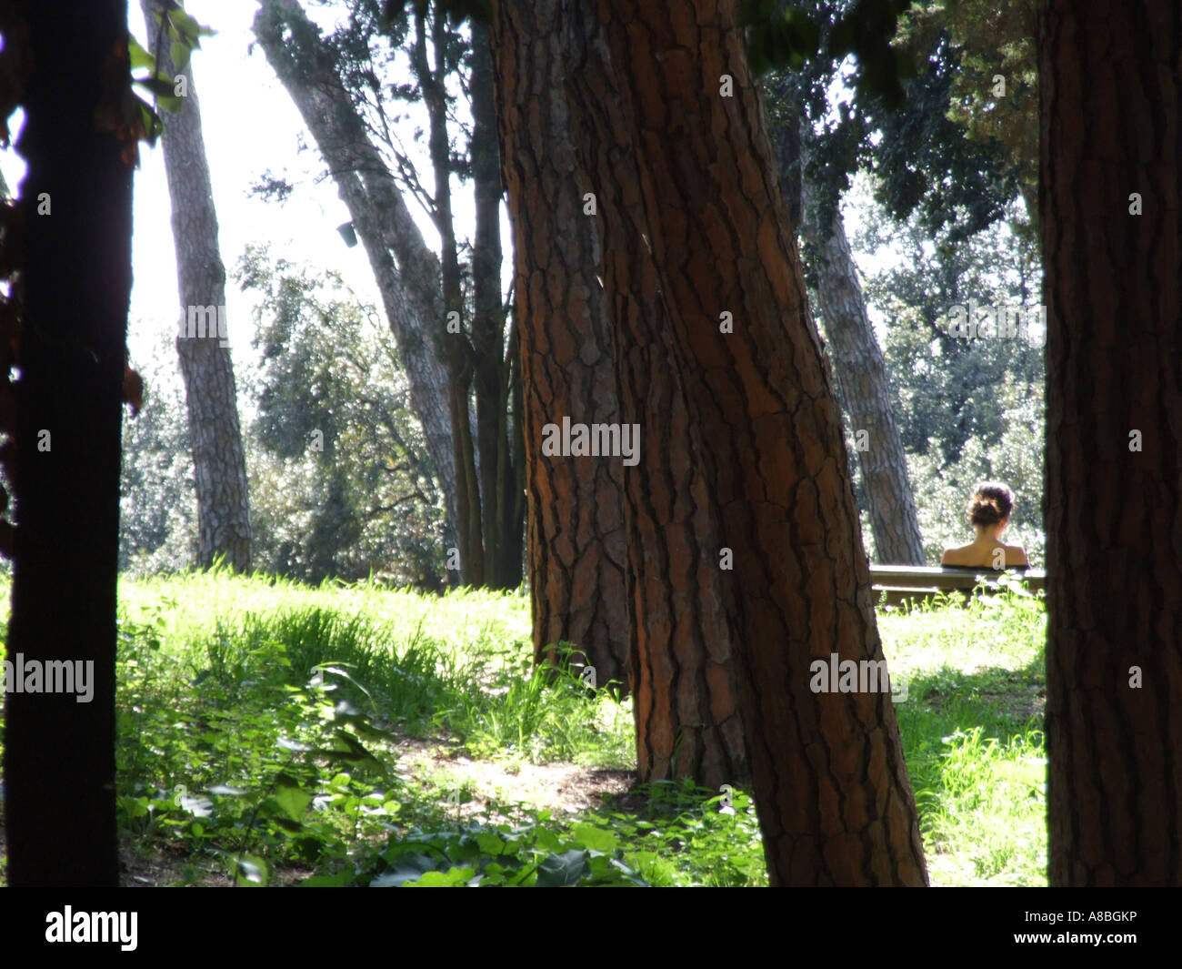 woman sitting in park Stock Photo - Alamy