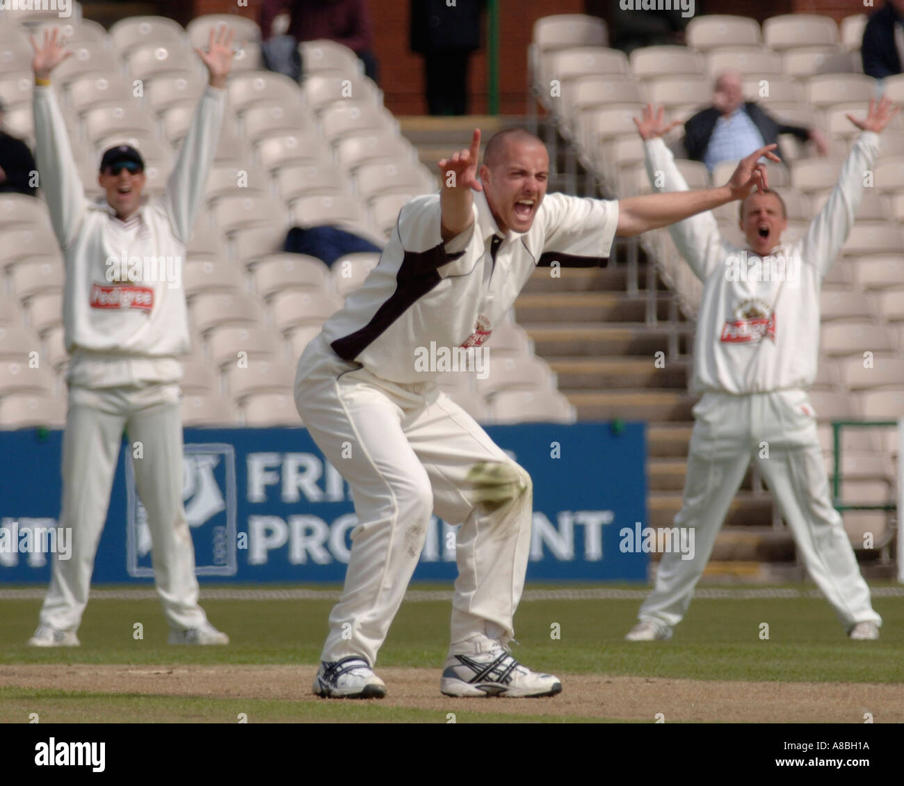 Cricket Appeal at old trafford Stock Photo - Alamy