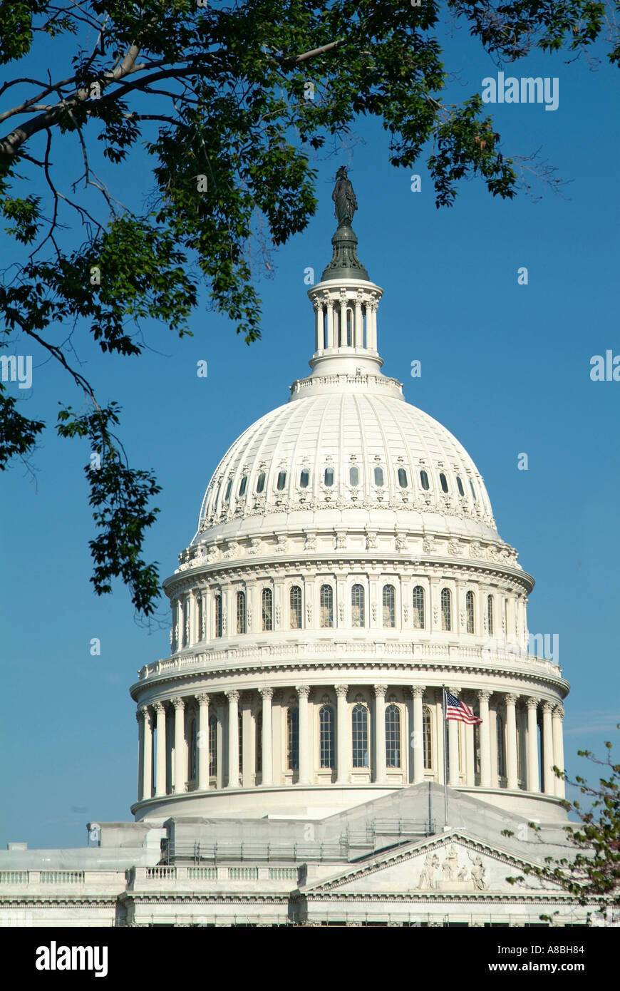 The Capitol Building Stock Photo - Alamy