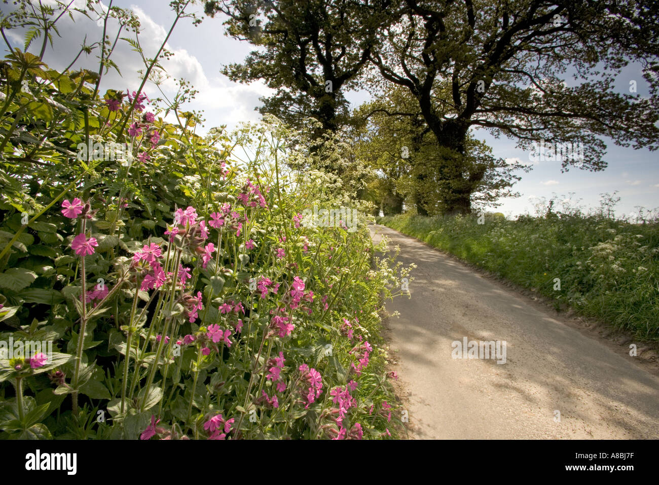 Northrepps hi-res stock photography and images - Alamy