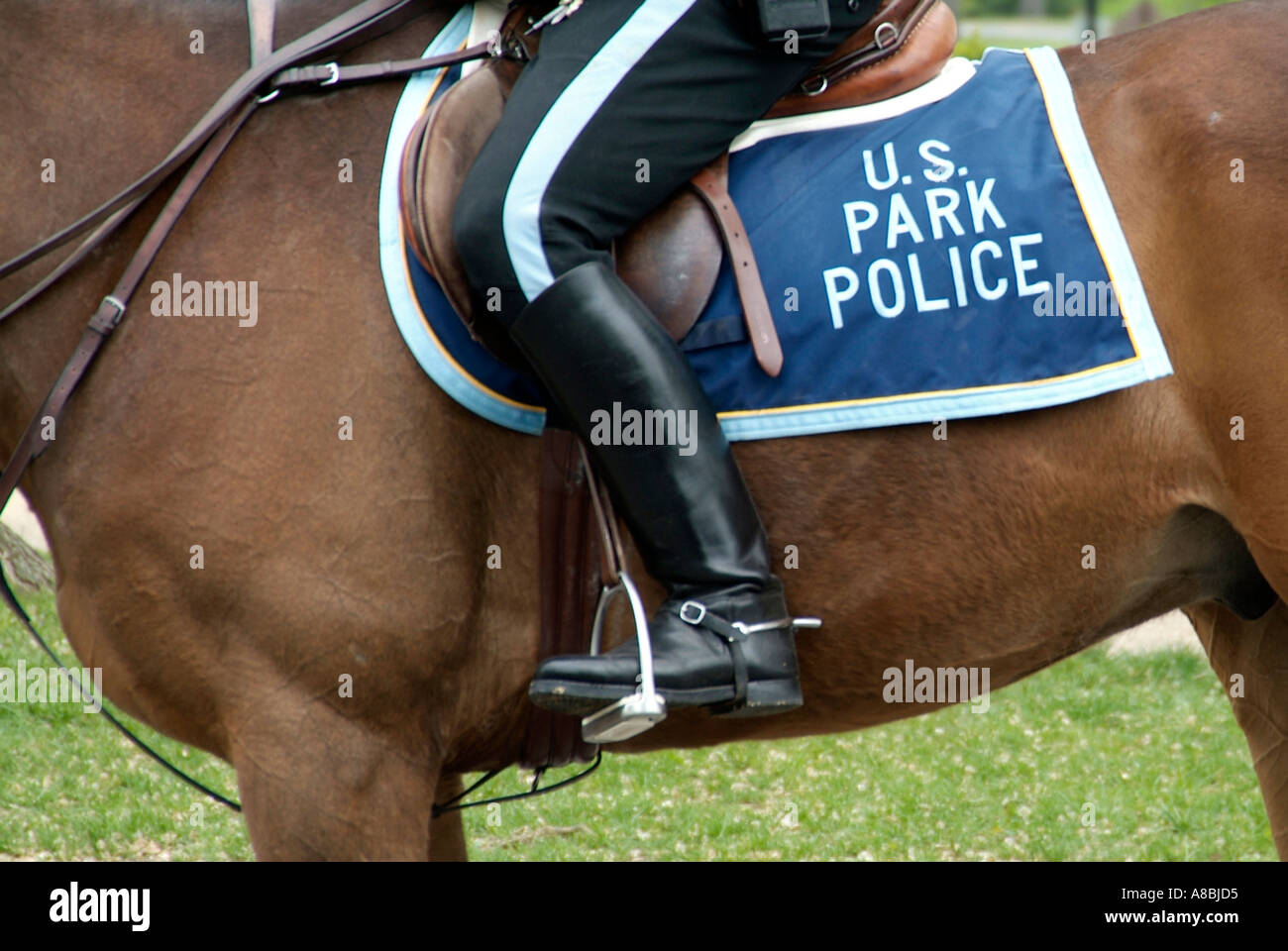 Police ticket us hi-res stock photography and images - Alamy