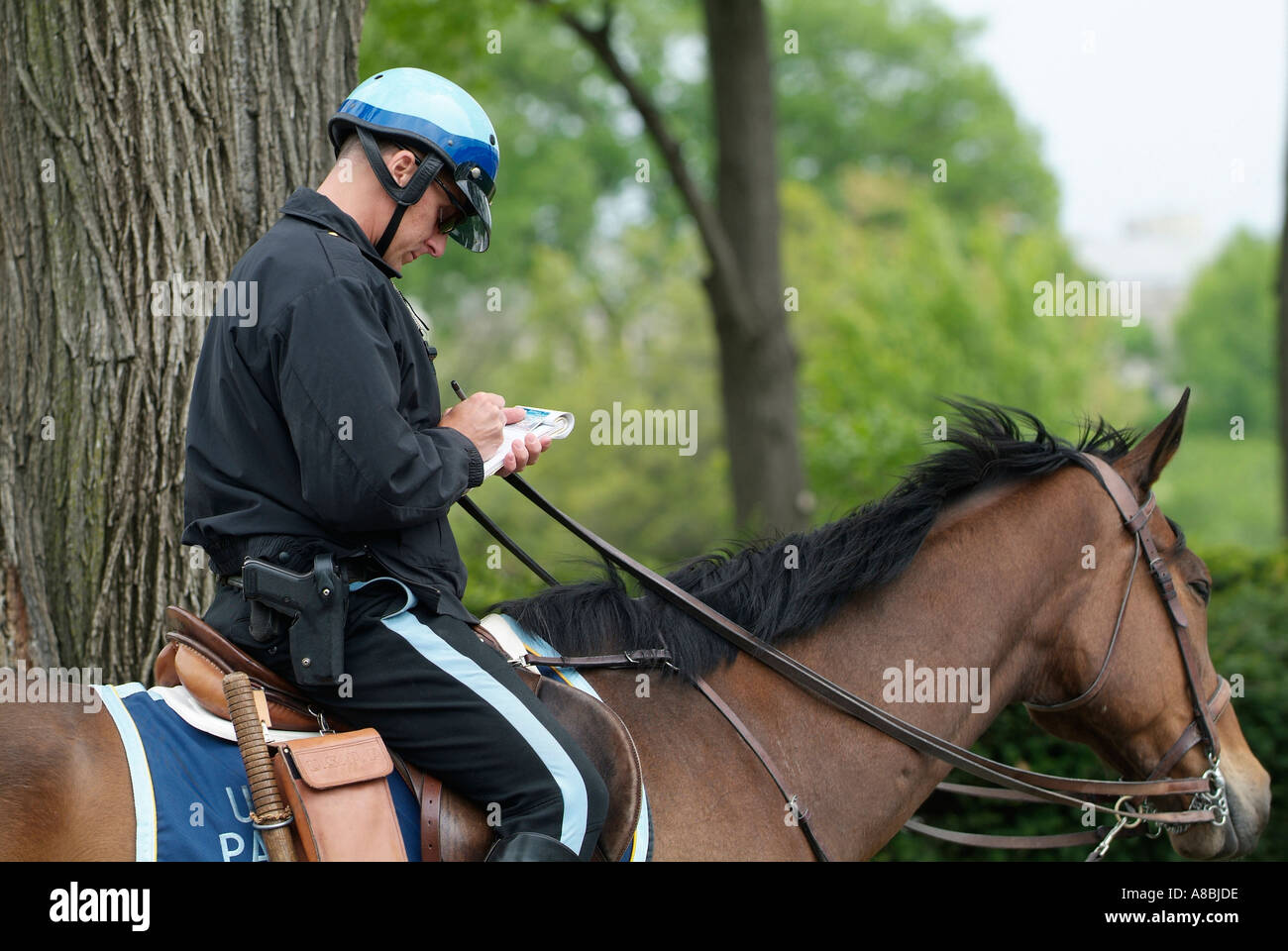 US Park Police Officer issue ticket for traffic violation Stock Photo ...