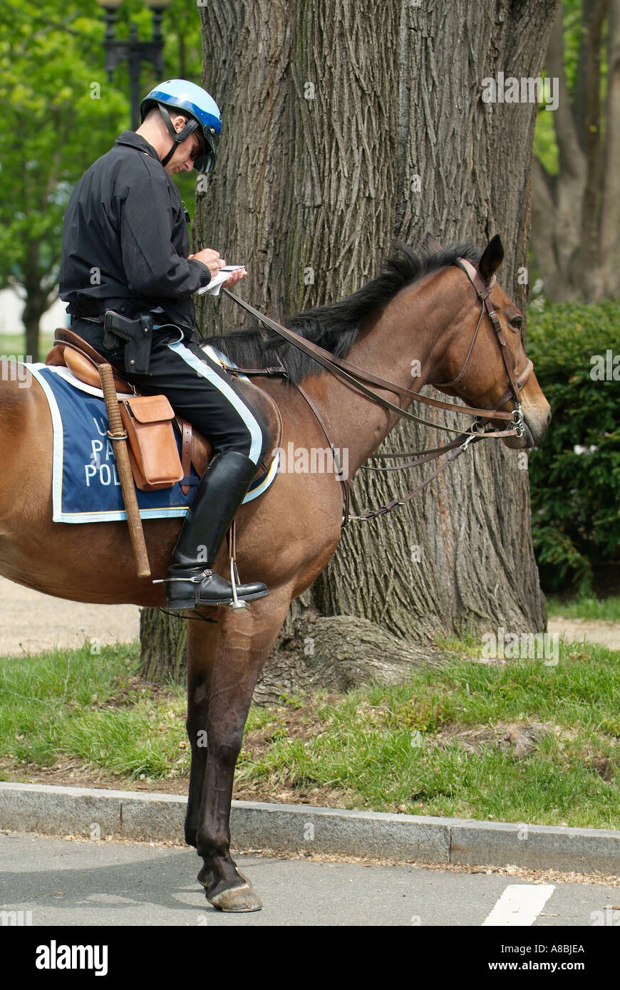 Issue ticket hi-res stock photography and images - Alamy