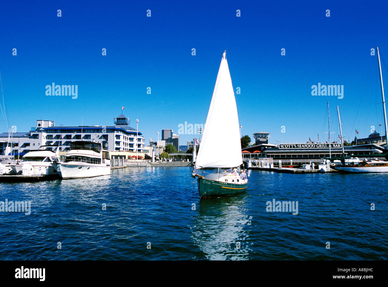 California Oakland Downtown as seen from the Jack London waterfront ...