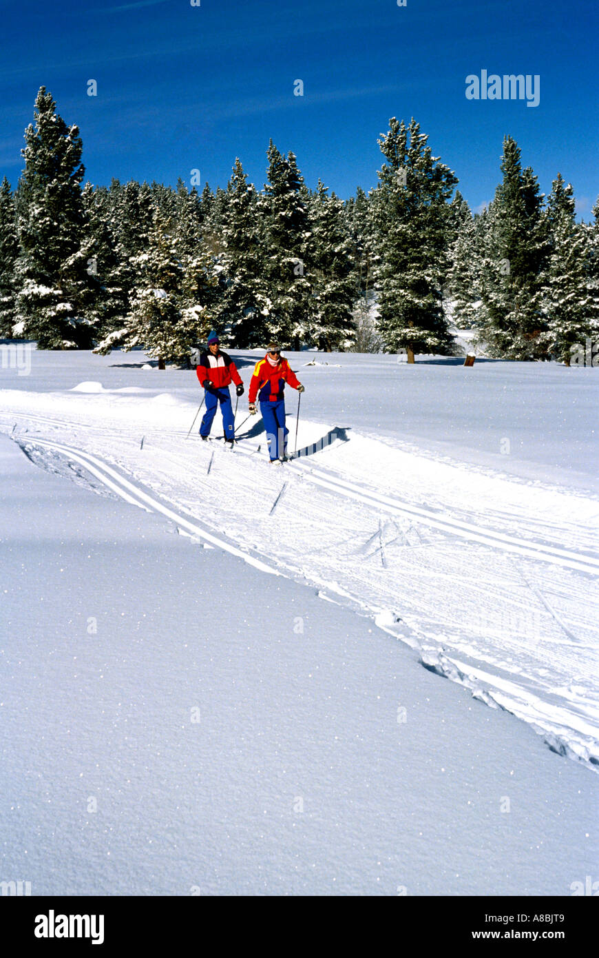 Colorado Cross Country Skiing Beaver Creek Stock Photo - Alamy