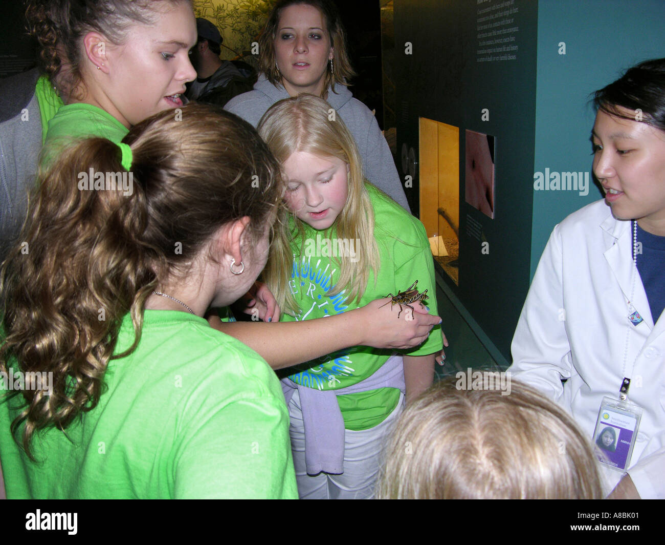 Student experience hands on demonstration of large grasshopper at ...