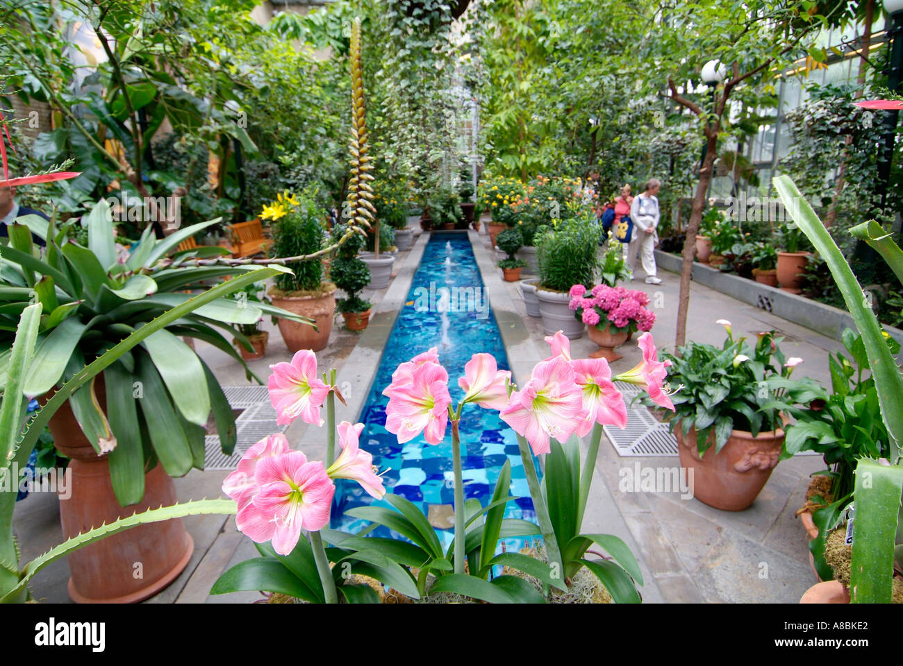 The United States of America Botanic Garden Conservatory at Washington ...