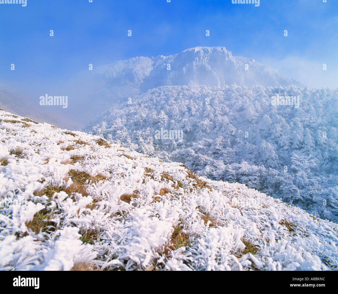 Halla Korea Winter High Resolution Stock Photography and Images - Alamy