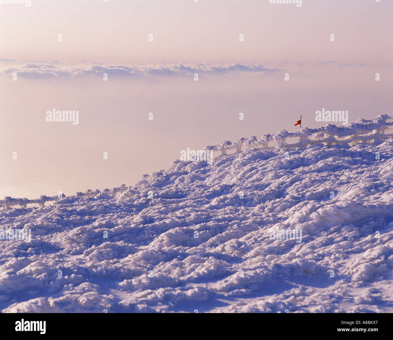 Jeju Island snow scene of Halla mountain winter Stock Photo - Alamy