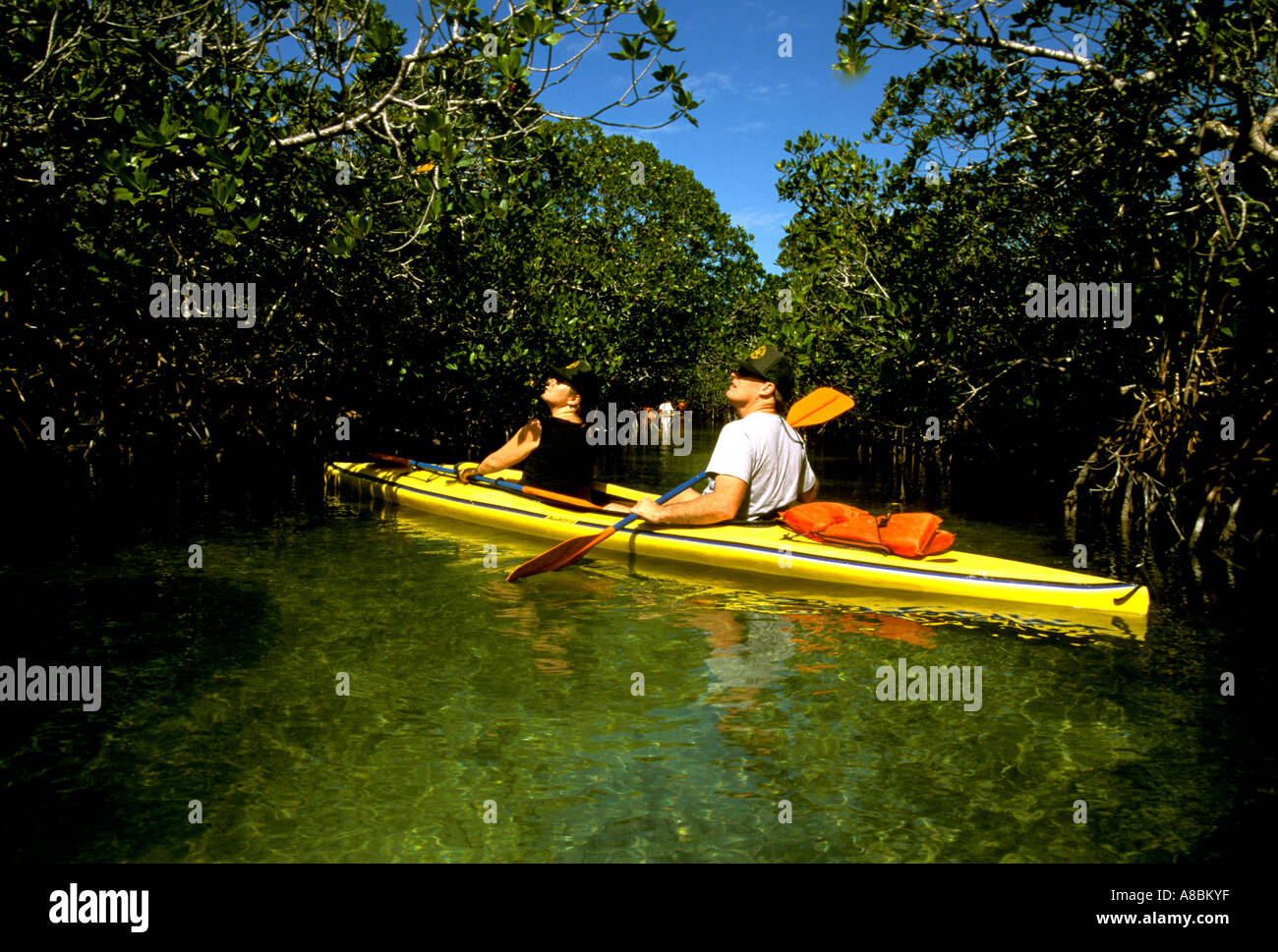 Florida Florida Keys kayaking model released Stock Photo - Alamy