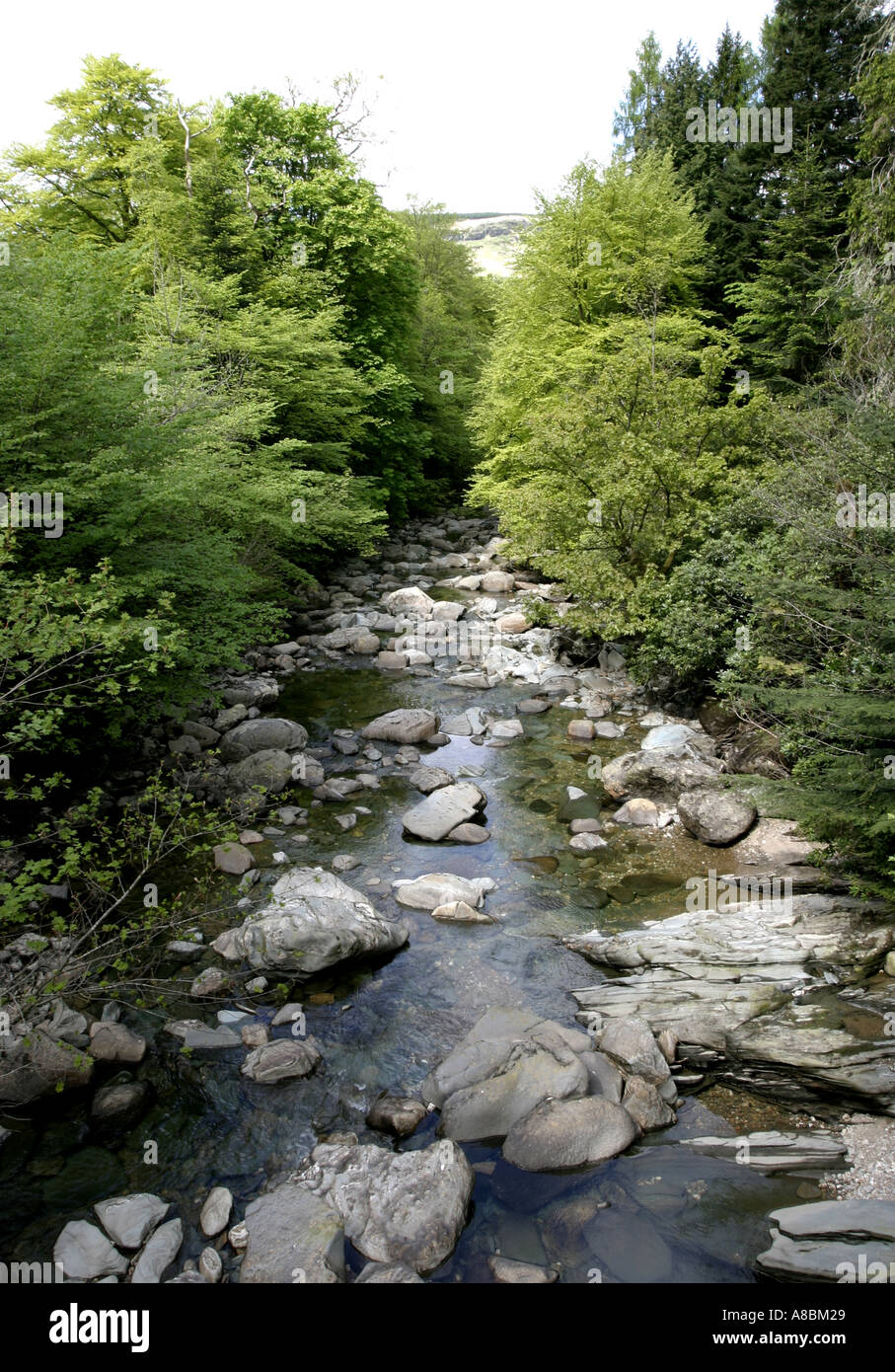 Tree lined rocky stream Stock Photo - Alamy
