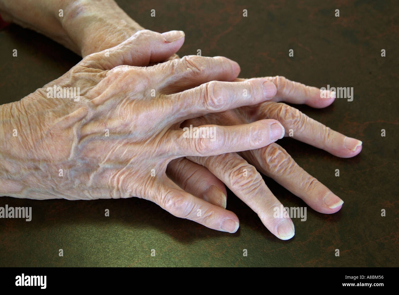 The ageing hands of a senior female Stock Photo - Alamy