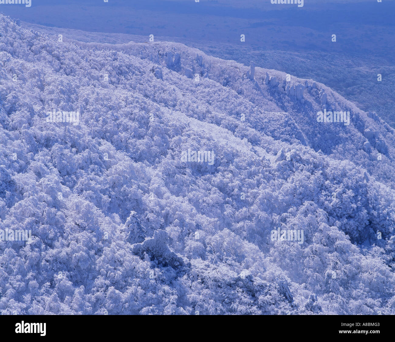 Jeju Island snow scene of Halla mountain winter Stock Photo - Alamy