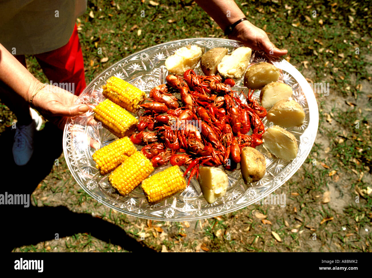 Crawdads hi-res stock photography and images - Alamy