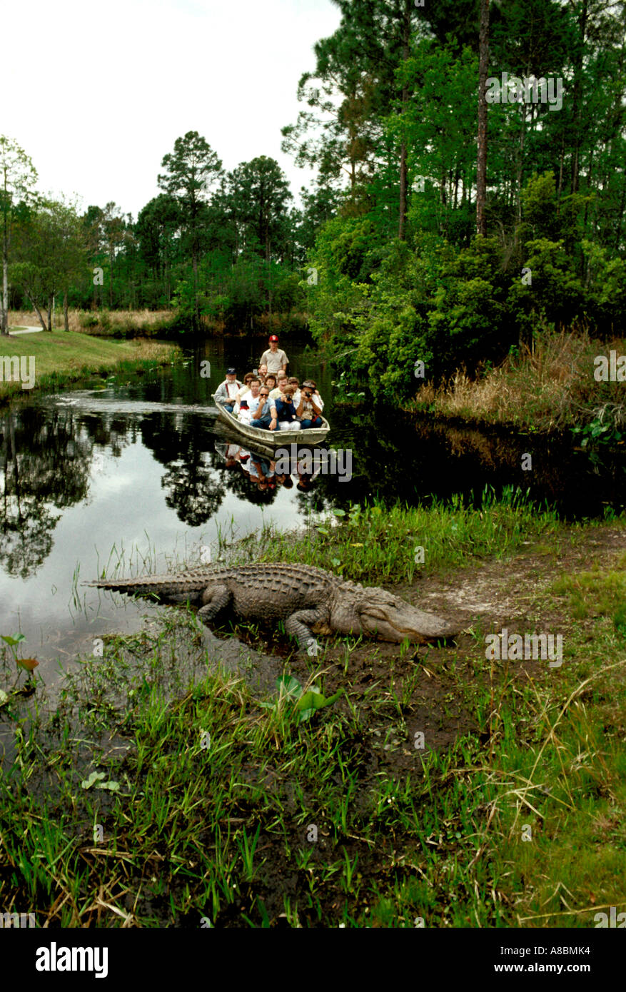 Boat okefenokee swamp alligator hi-res stock photography and images - Alamy
