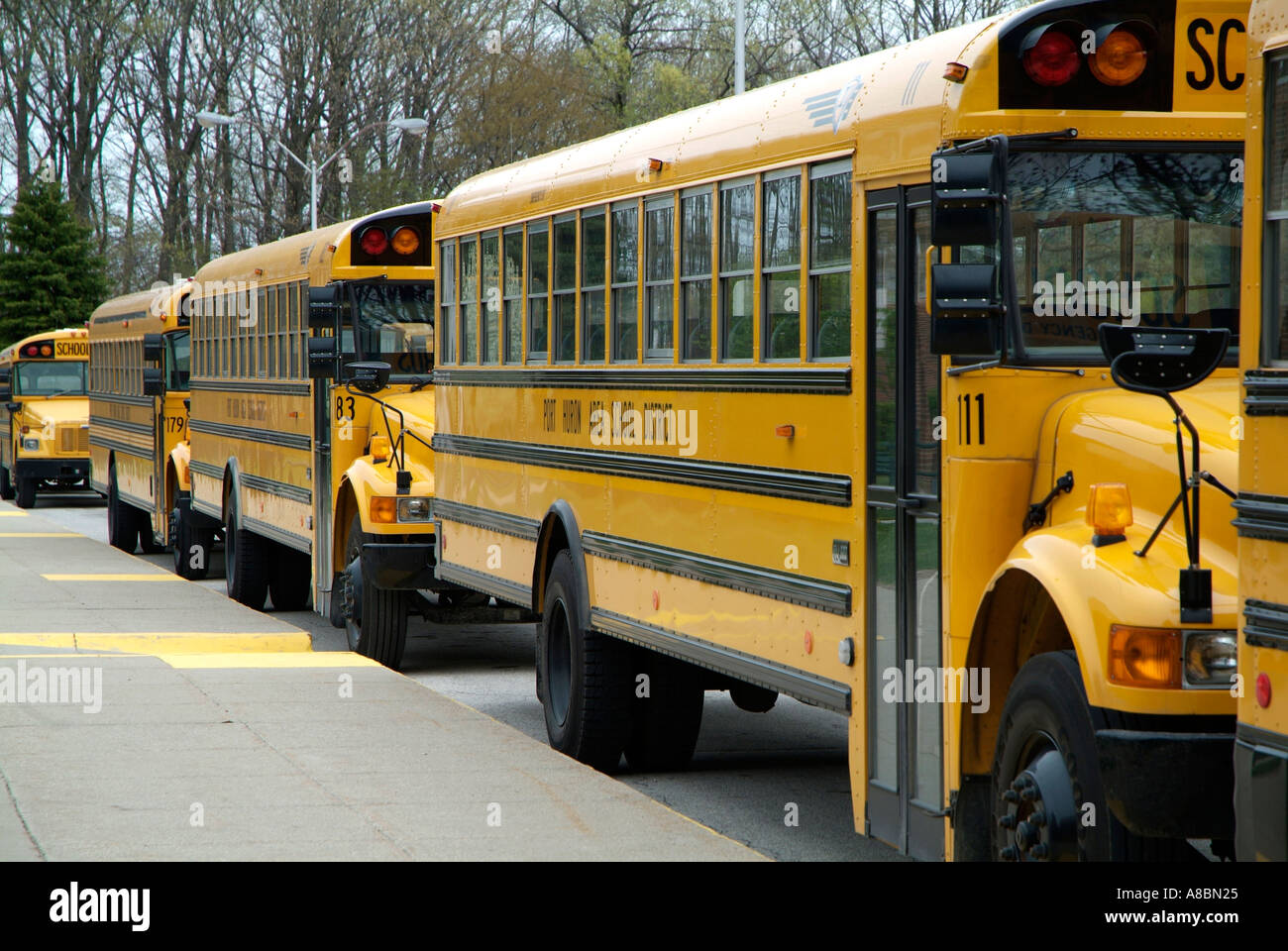 School busses lined up in front of middle school ready to transport ...