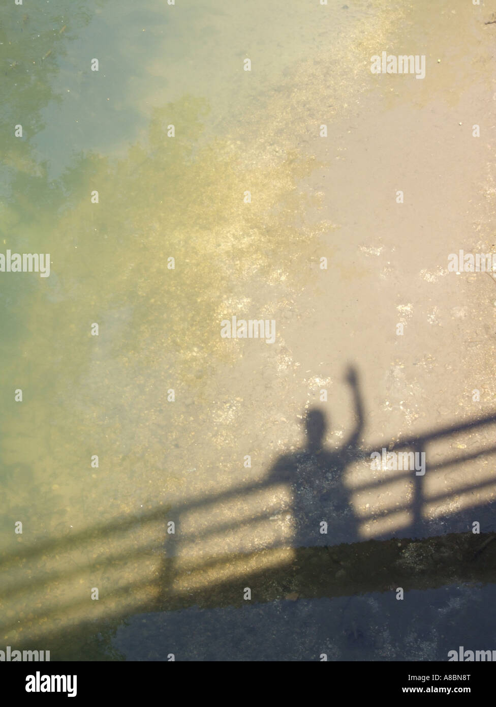 person's shadow in river seen from bridge Stock Photo - Alamy