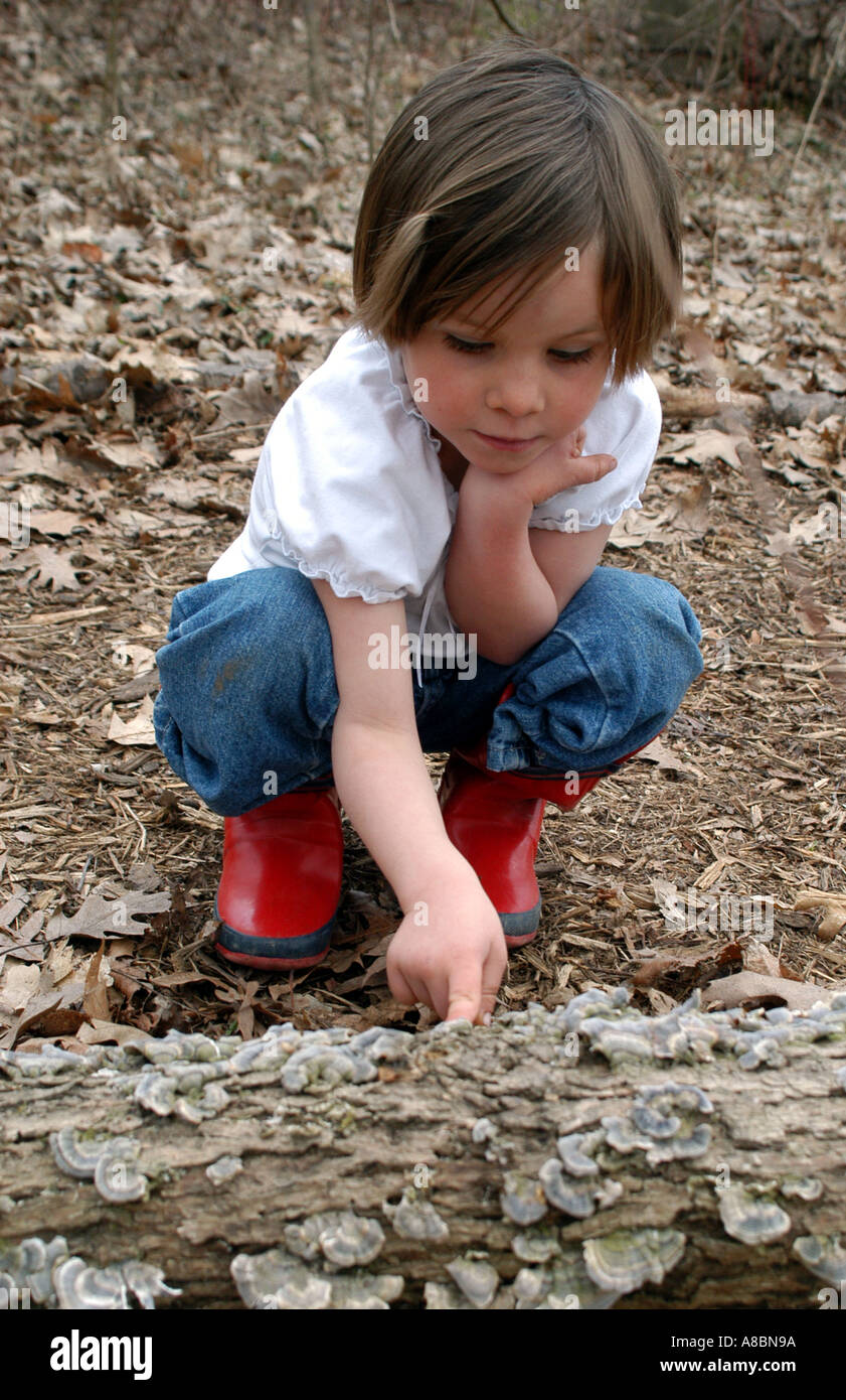 Young child pointing at a log Stock Photo - Alamy