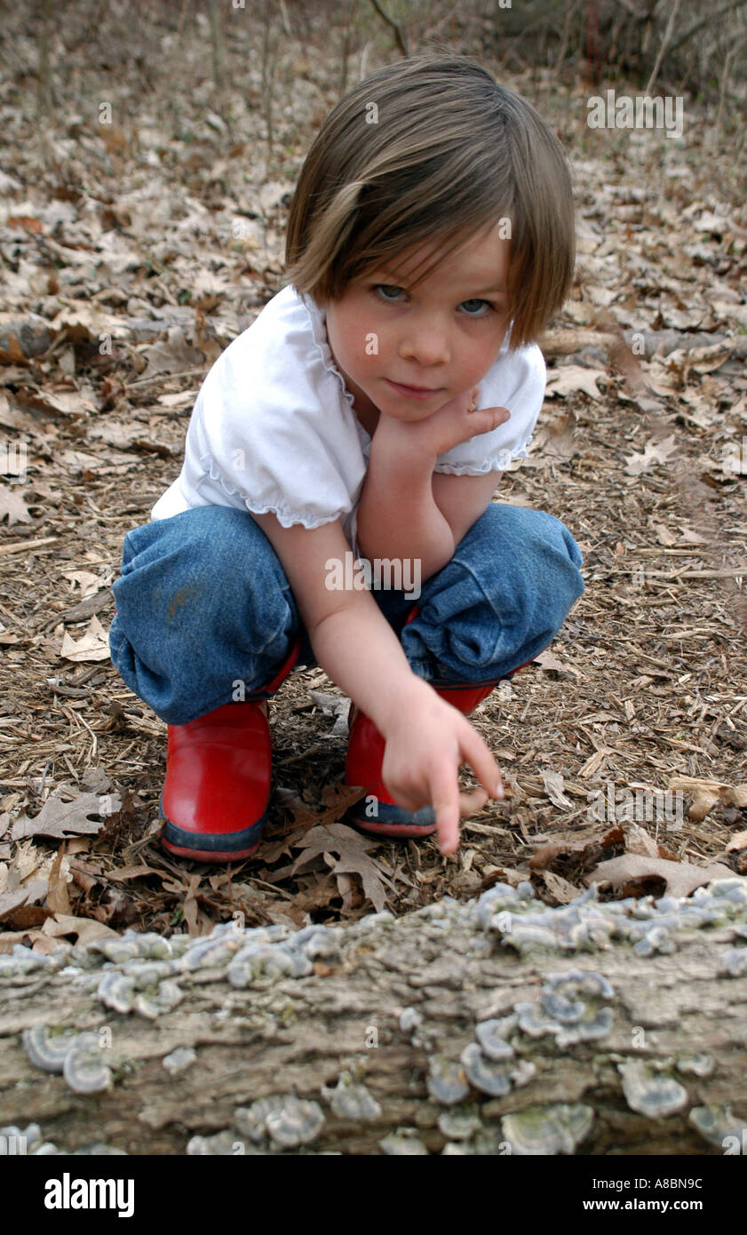 Young child pointing at a log Stock Photo - Alamy