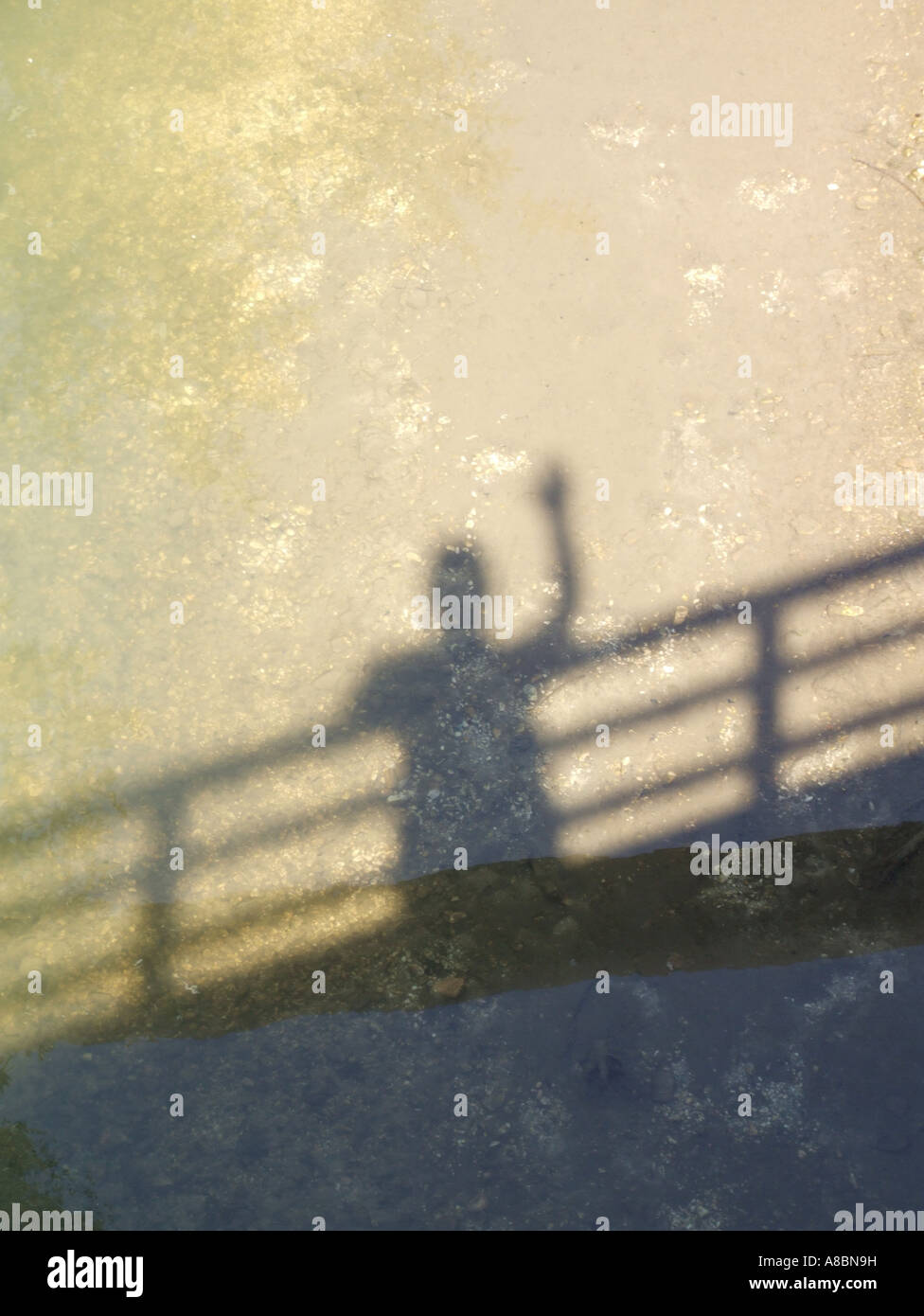 person's shadow in river seen from bridge Stock Photo - Alamy