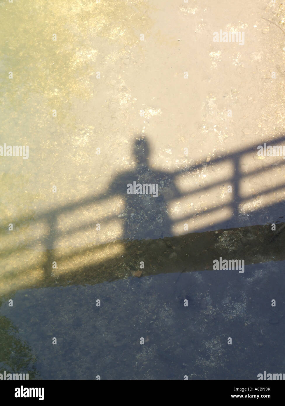 person's shadow in river seen from bridge Stock Photo - Alamy