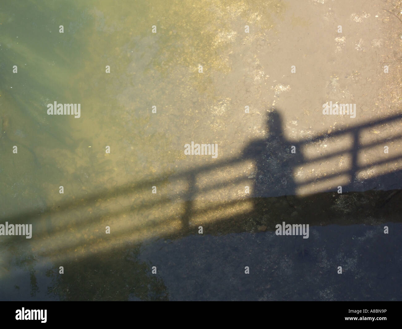 person's shadow in river seen from bridge Stock Photo - Alamy
