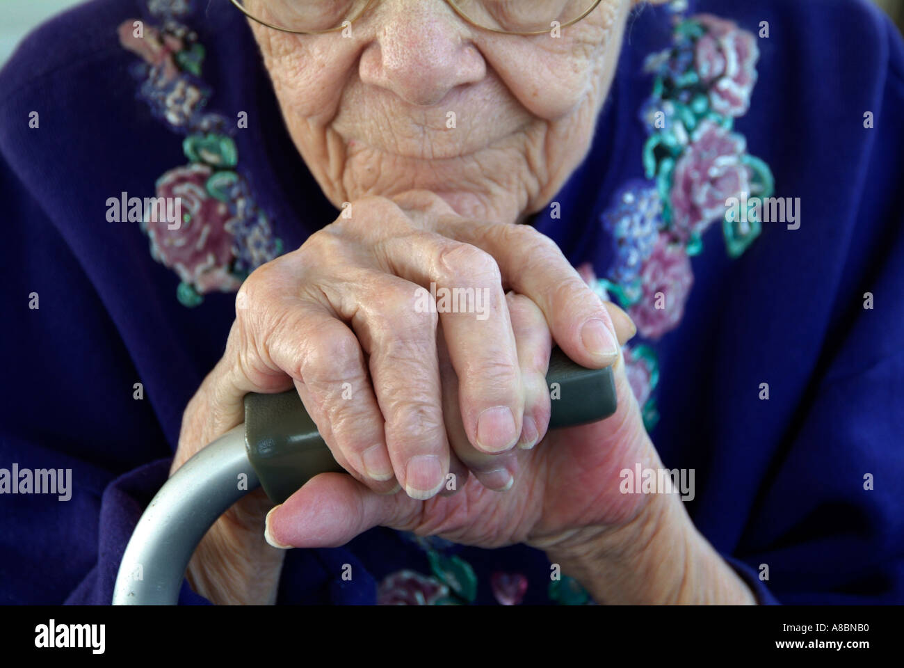 The ageing hands of a senior female Stock Photo - Alamy