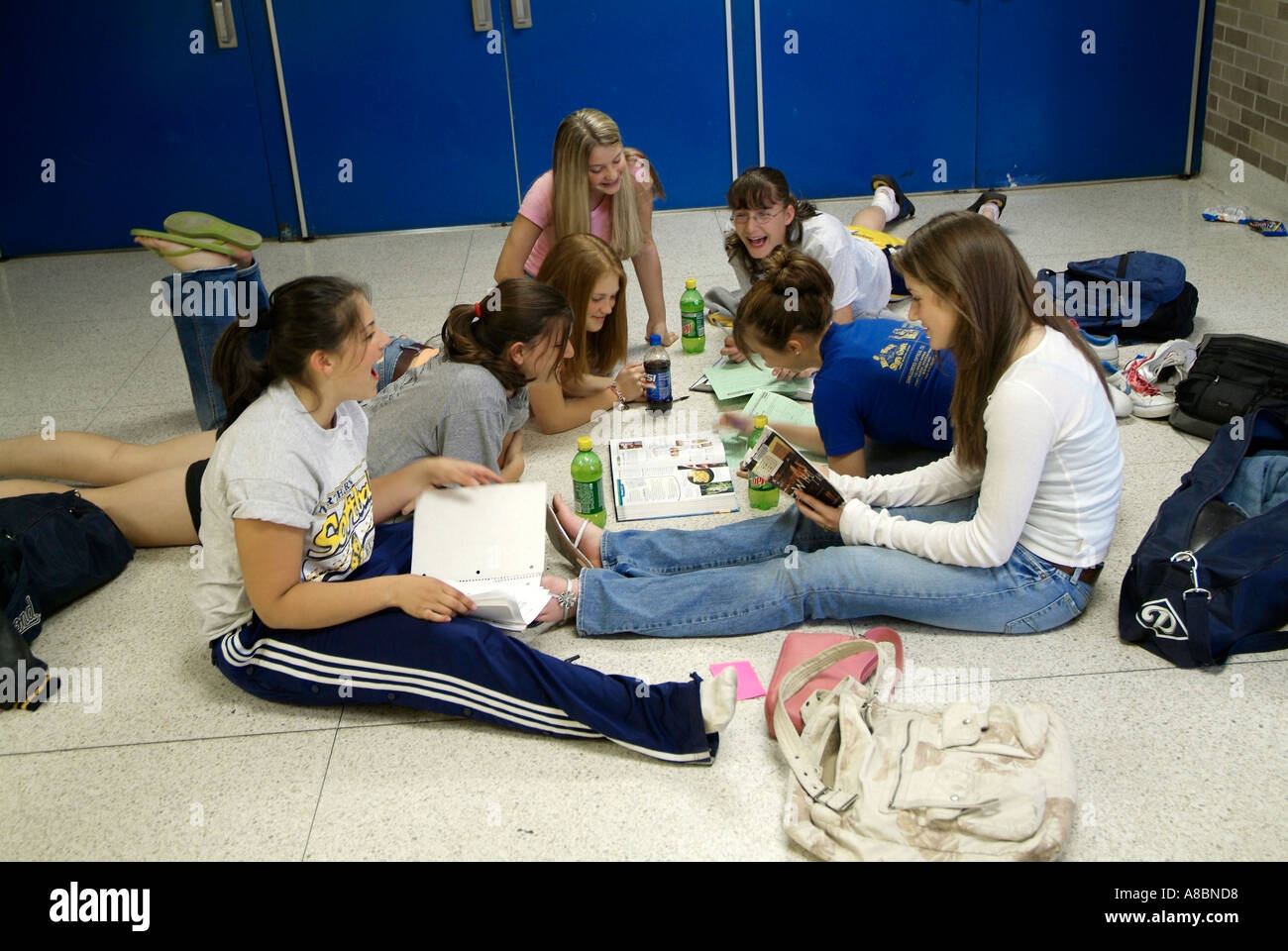 Group of female high school students study together in a hallway during ...