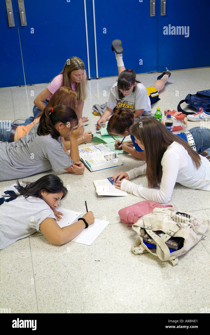 Group of female high school students study together in a hallway during ...